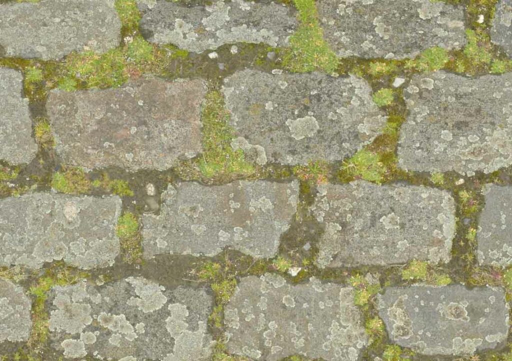 A free CC0 public medieval road, old stone road or walkway, rock ...