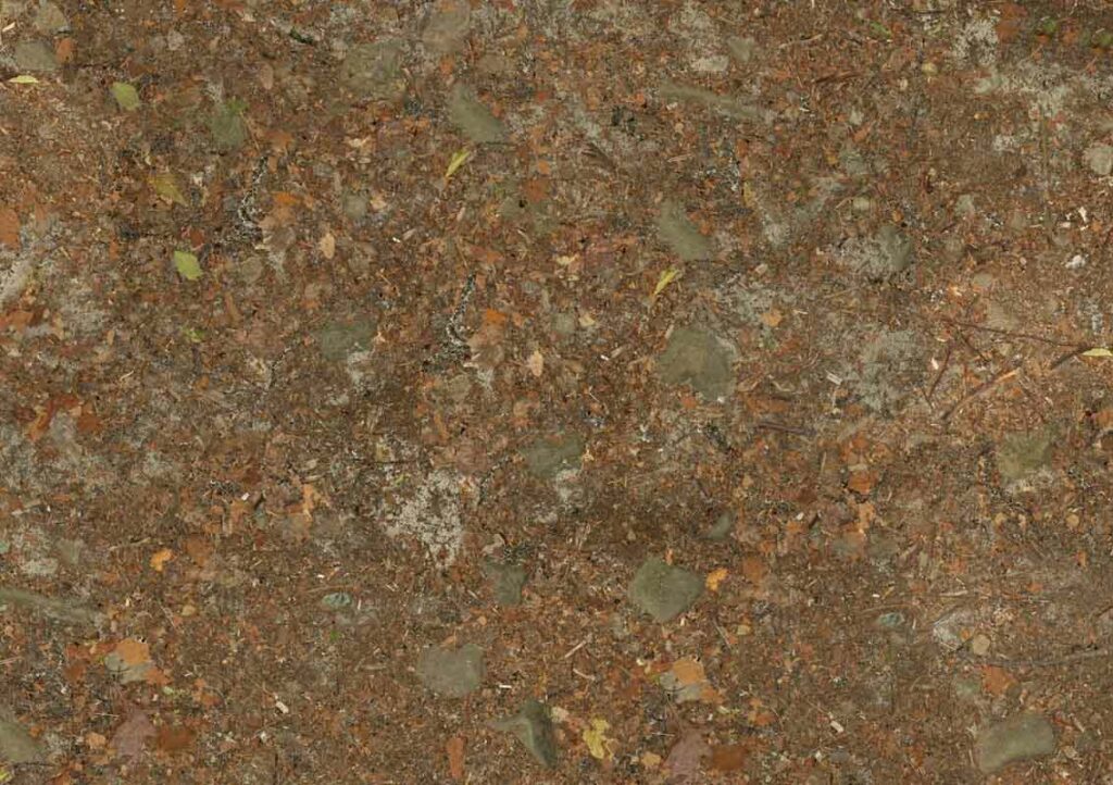 A free CC0 public domain ground, mud, dirt, rock, mud, leaves, foliage ...