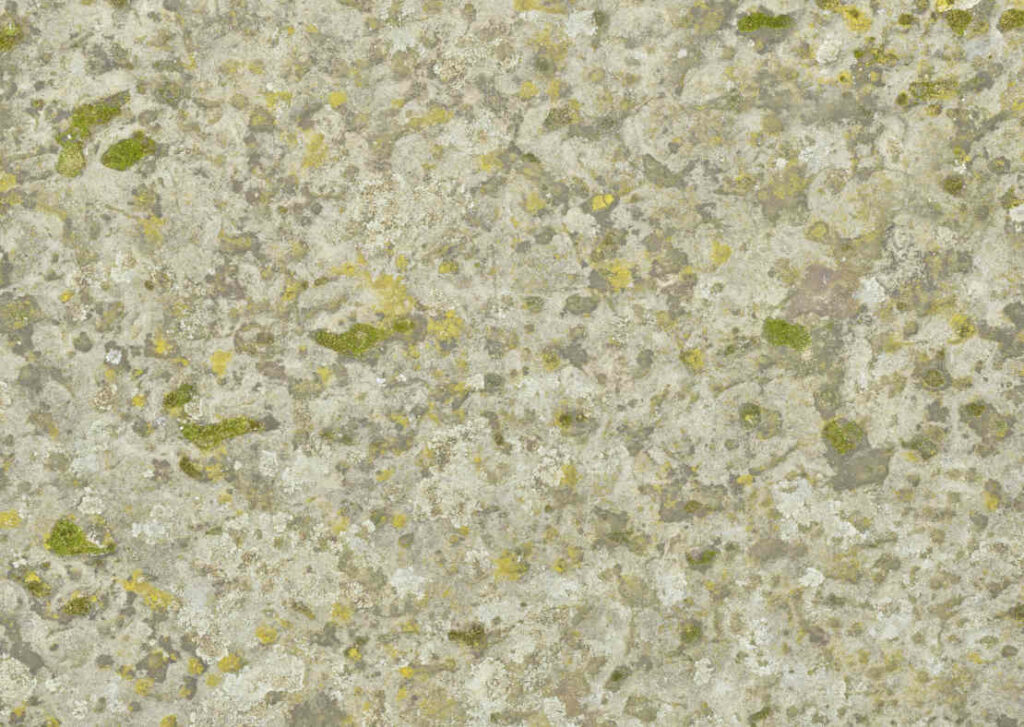 A Free CC0 public domain PBR material texture – beige rock, cream rock ...